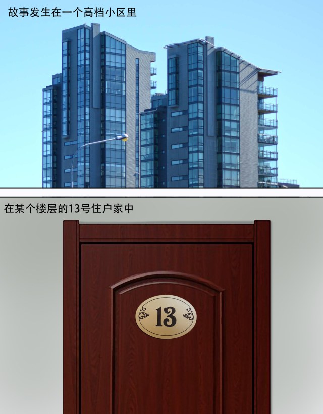 [1254] Shadows of the Black Organization: The First Crisis (Home ...